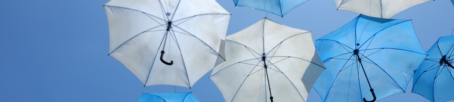 Success for Avantia and Clear in insurance awards - ECI Partners